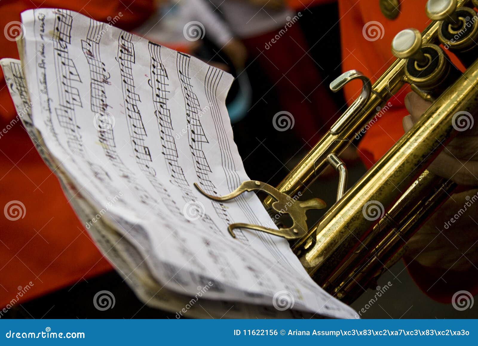 Notes stock photo. Image of music, notes, instrument - 11622156
