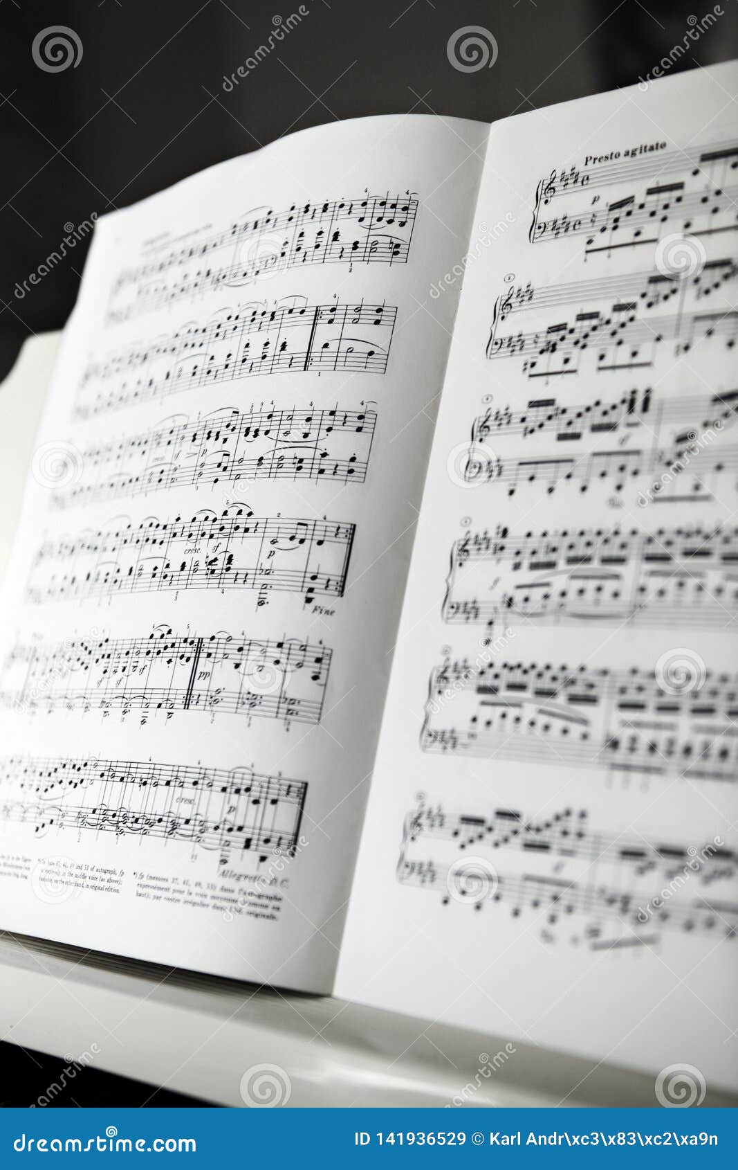 Note-sheet in close up. stock image. Image of notesheet - 141936529