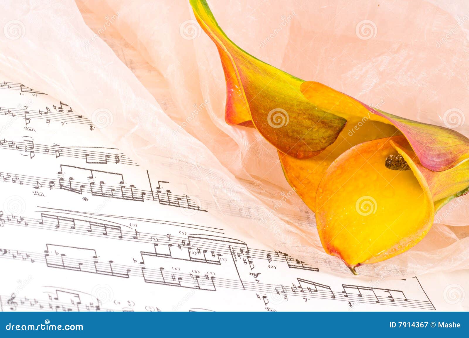 Notes with a Beautiful Flower Stock Image - Image of delicate, flower ...