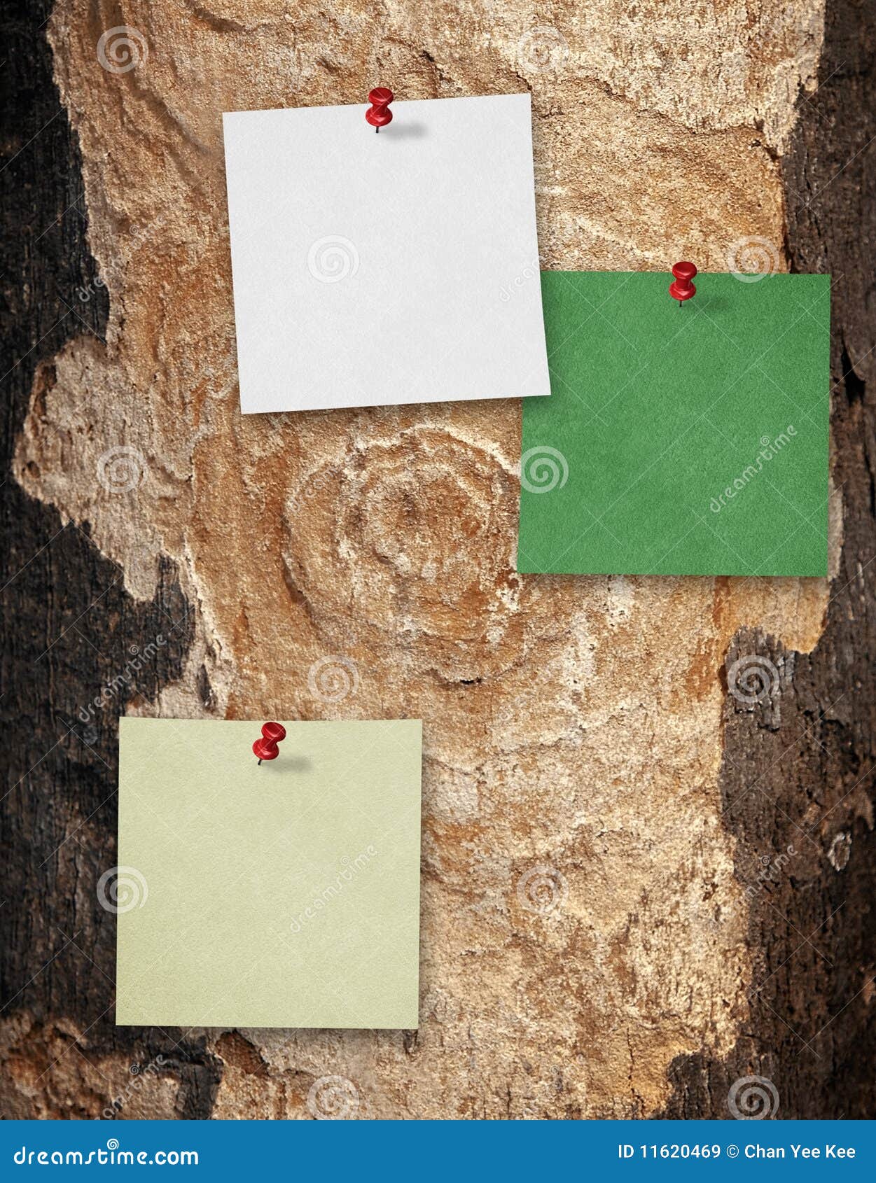Notes on tree background stock image. Image of memory - 11620469