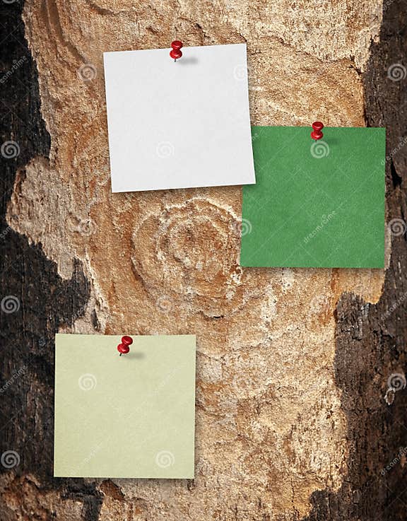 Notes on tree background stock image. Image of memory - 11620469