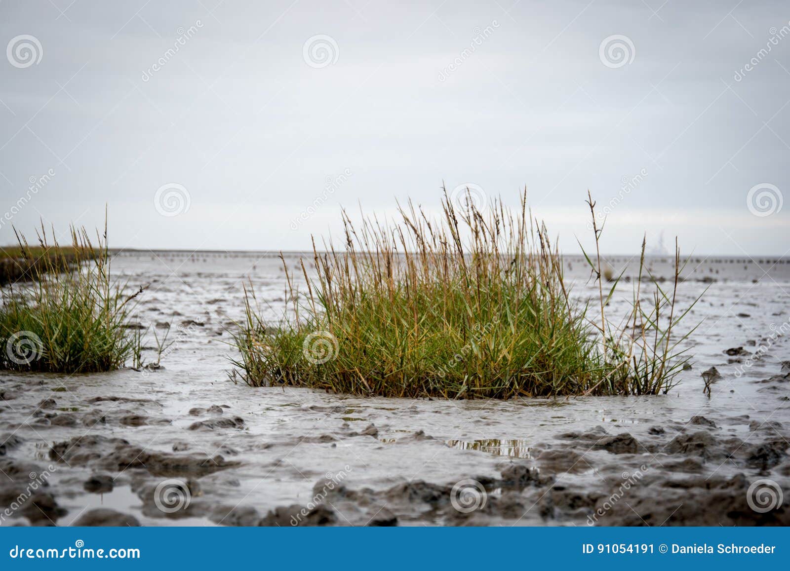 Noth Sea /German Ocean stock image. Image of nature, dune - 91054191