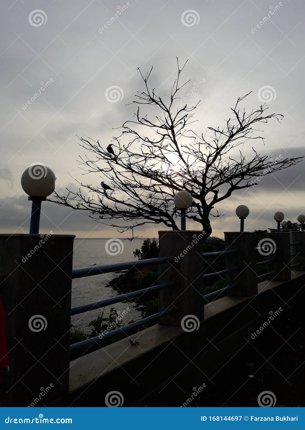 Nothing Left To Loose but Still Alive Stock Image - Image of still ...