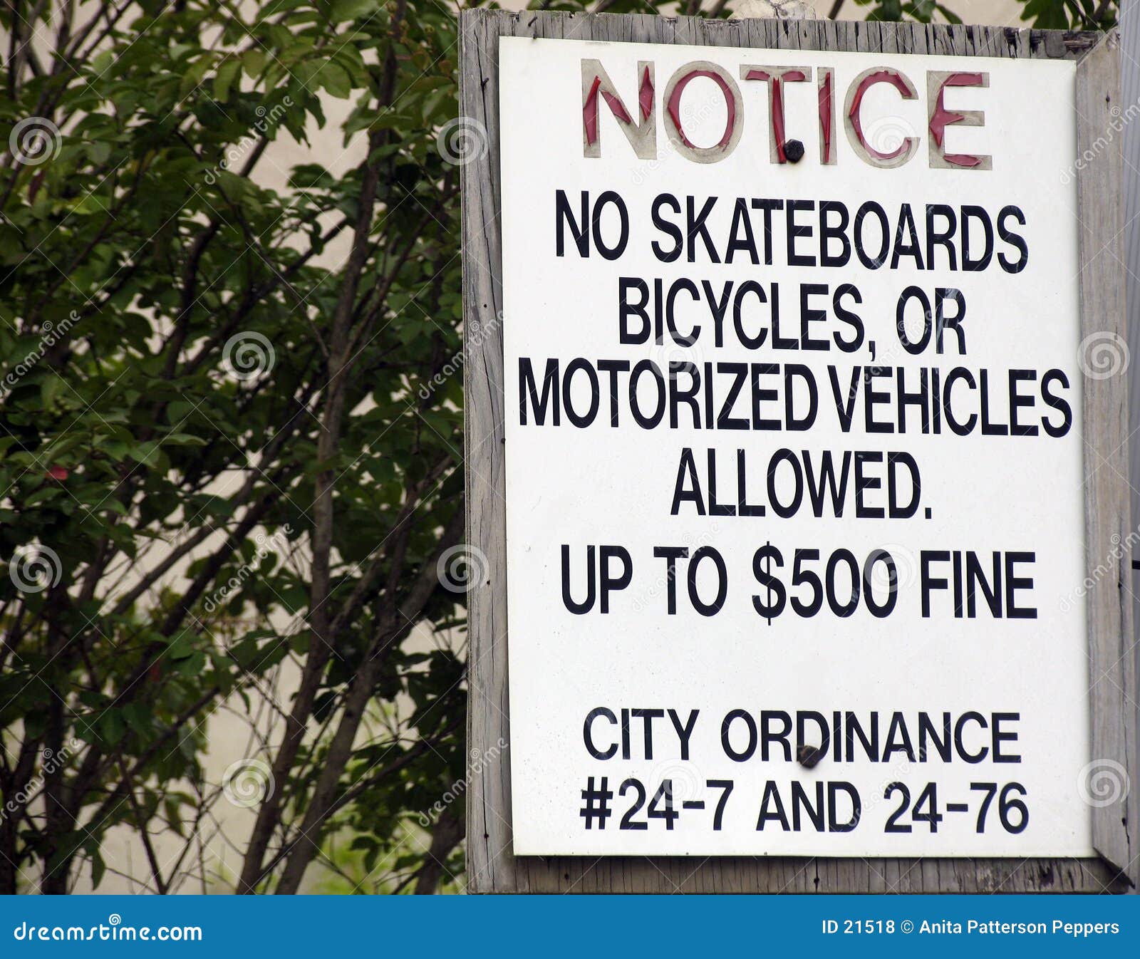 Notice Picture. Image: 21518