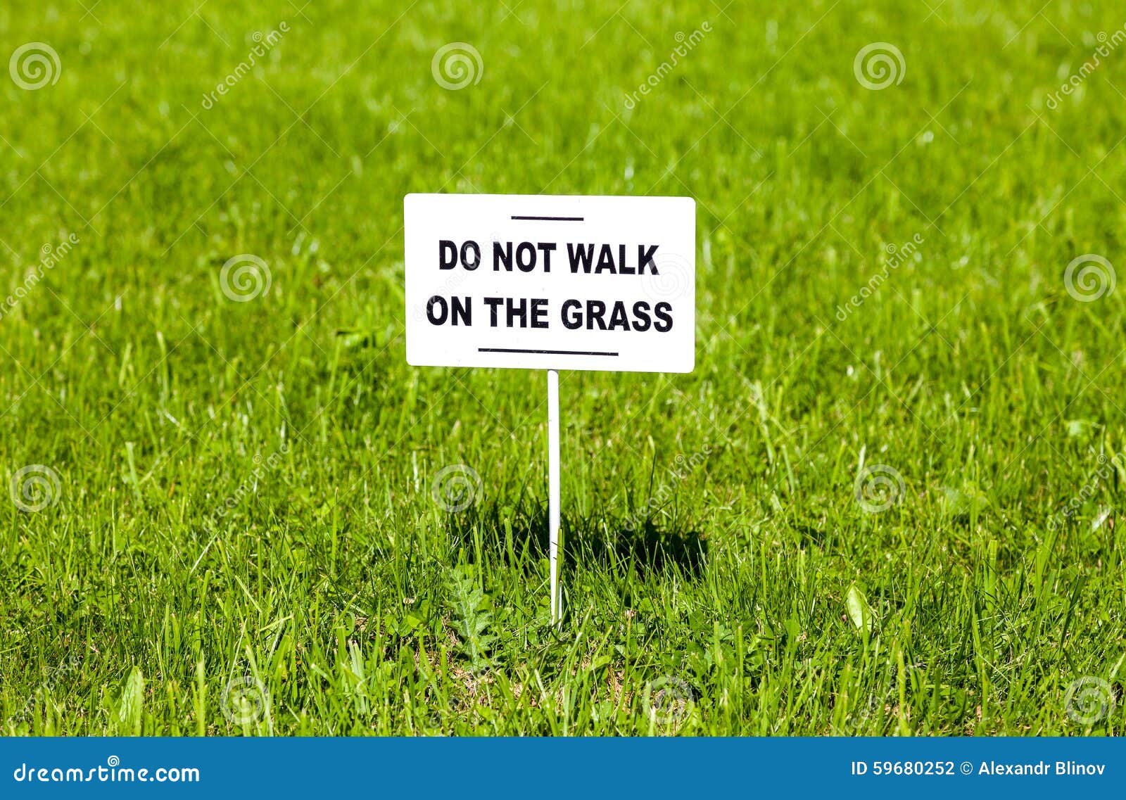 Notice Board on the Lawn with Text Stock Photo - Image of foreground ...