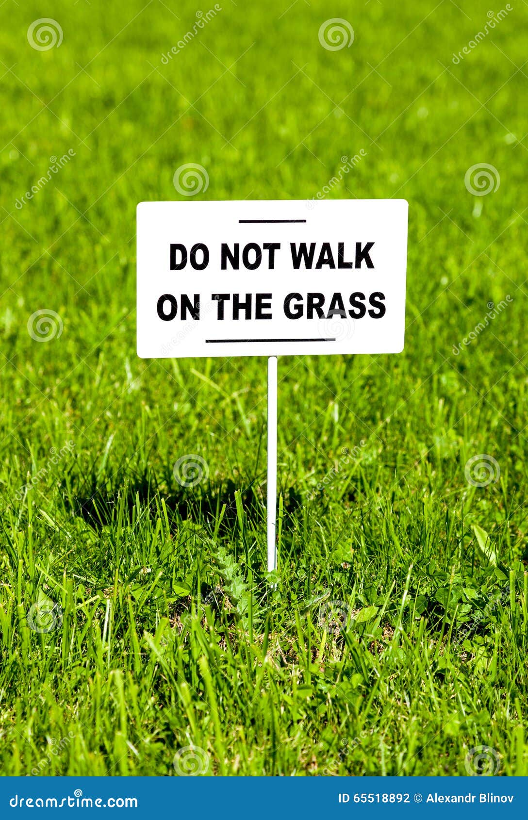 Notice Board on the Lawn with Text Stock Photo - Image of natural ...