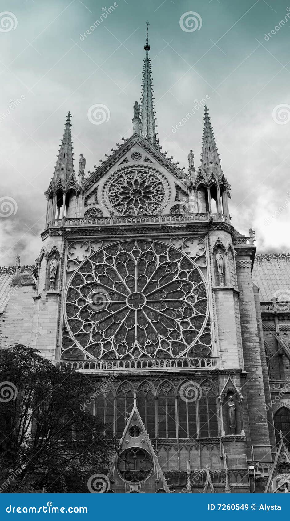 Notre Dame Cathedral Side Exterior Stock Image - Image of catholic ...