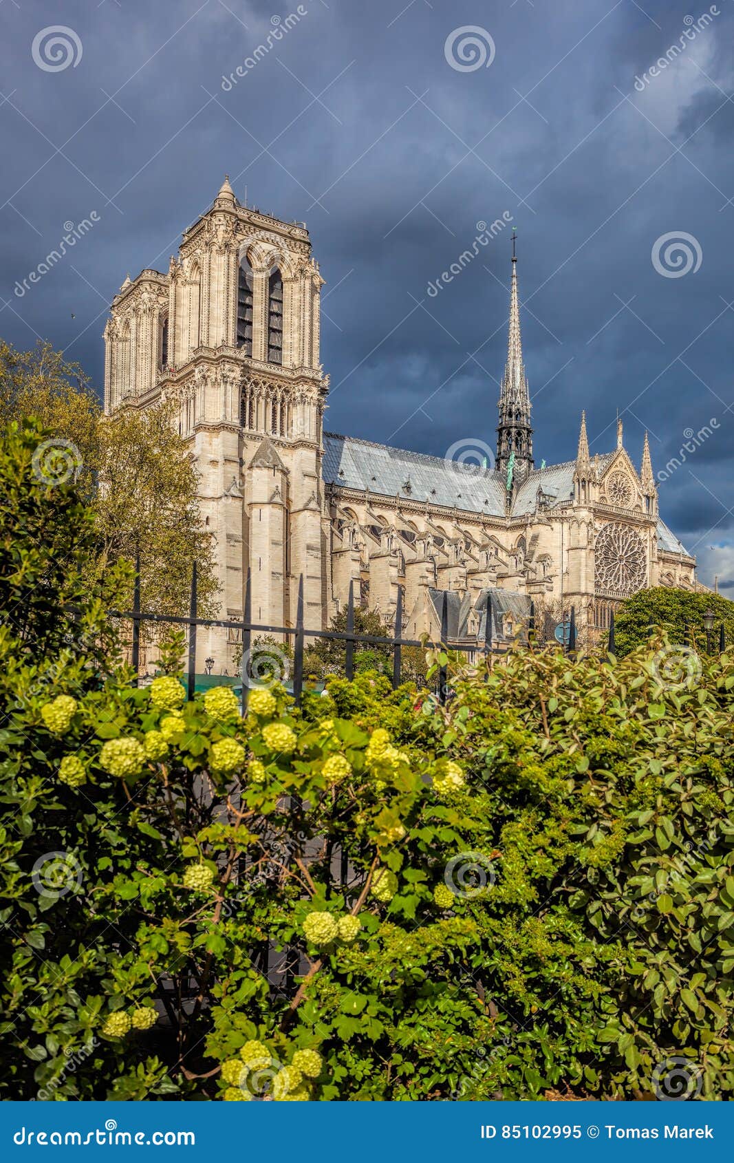 Notre Dame Cathedral during Spring Time in Paris, France Stock Image ...