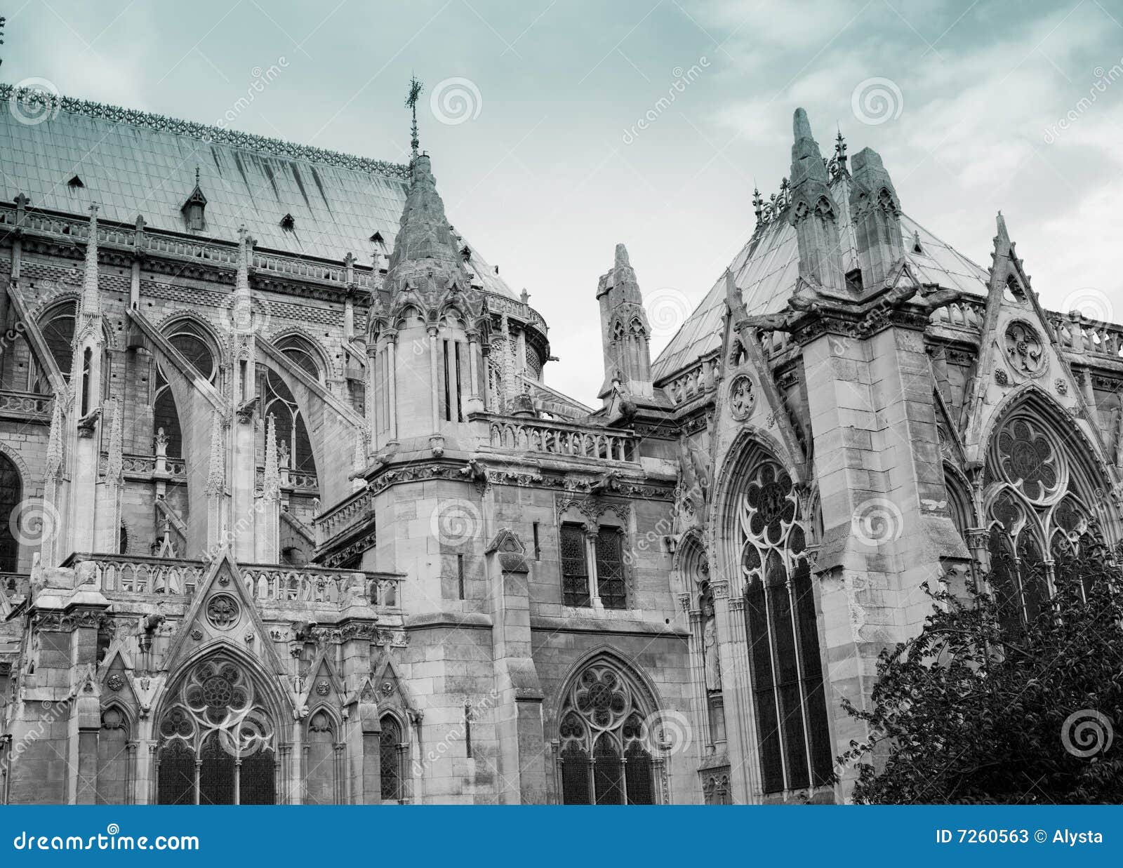 Notre Dame De Paris: Contrafforte Di Volo Immagine Stock - Immagine di ...