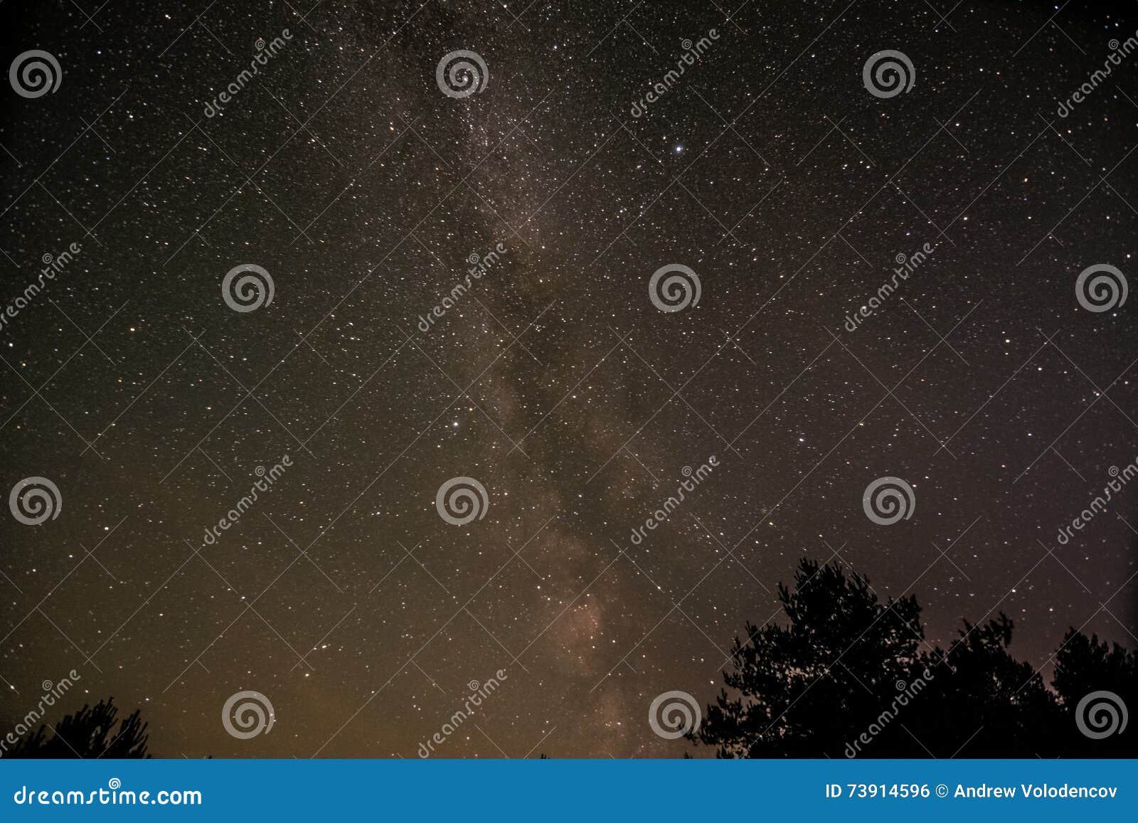 Notte Della Stella Nella Foresta Fotografia Stock - Immagine di autunno ...