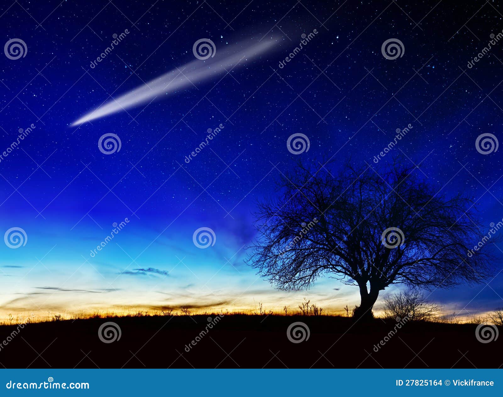 Notte stellata fotografia stock. Immagine di fucilazione - 27825164