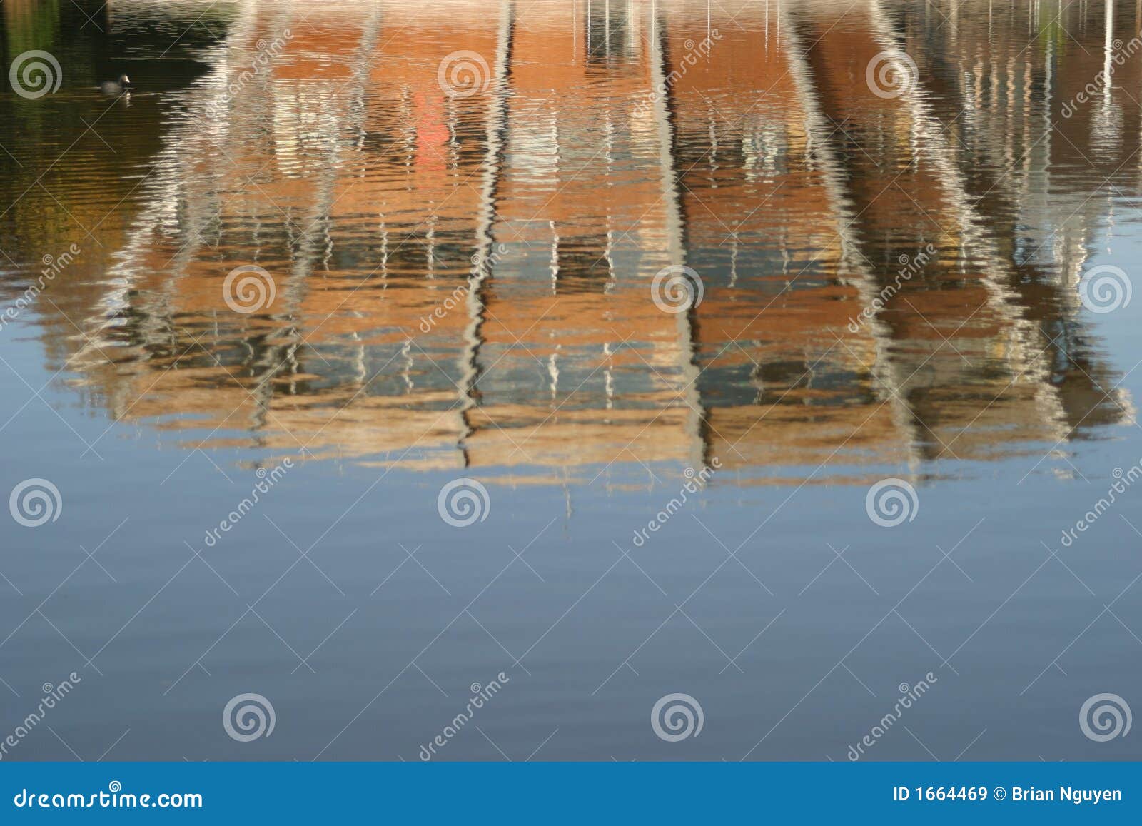 Nottingham Library Jubilee Campus Stock Image - Image of lake, library ...