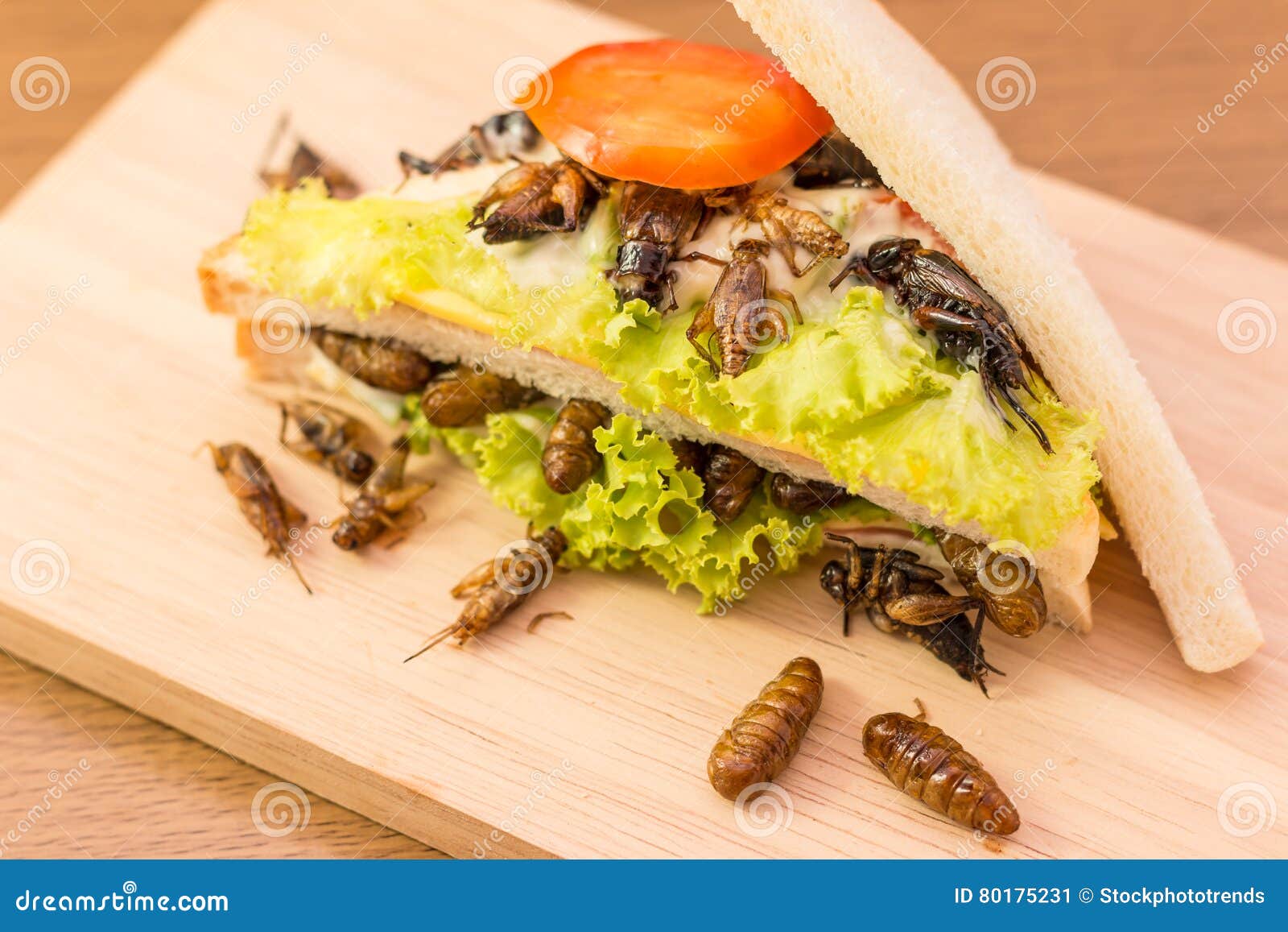 Nourriture d'insecte image stock. Image du demi, anomalie - 80175231