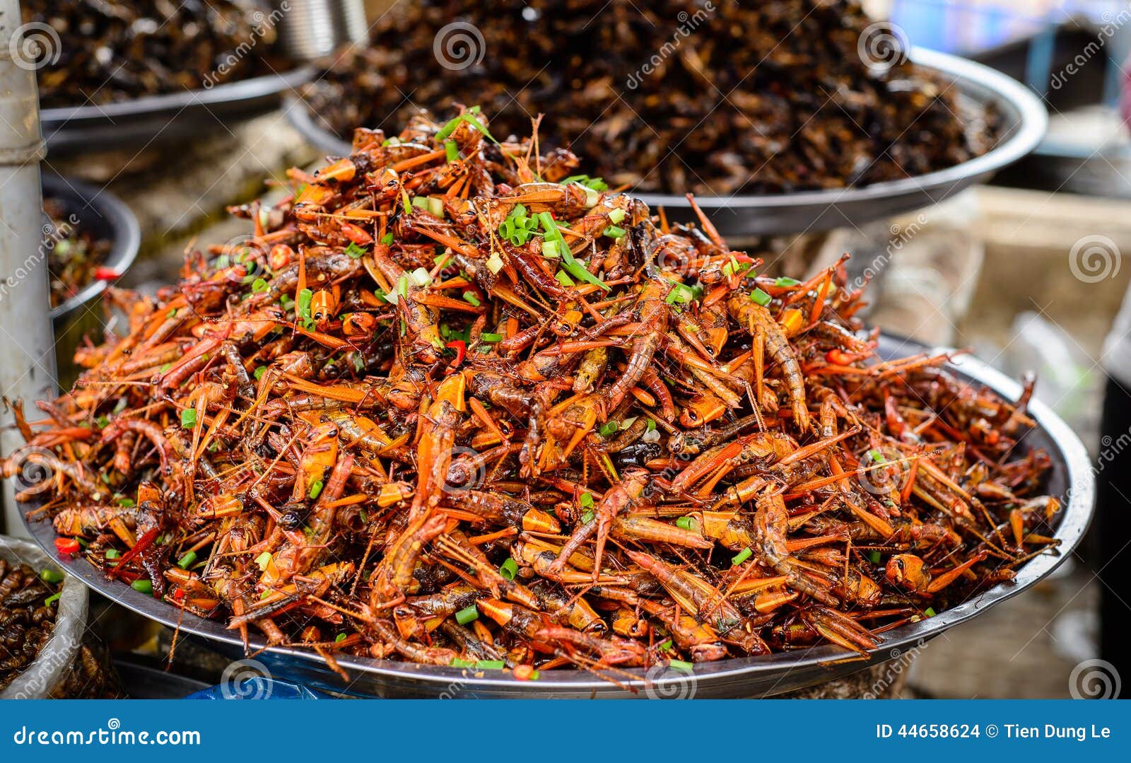 Nourriture D'insectes Chez Le Cambodge Photo stock - Image du ...