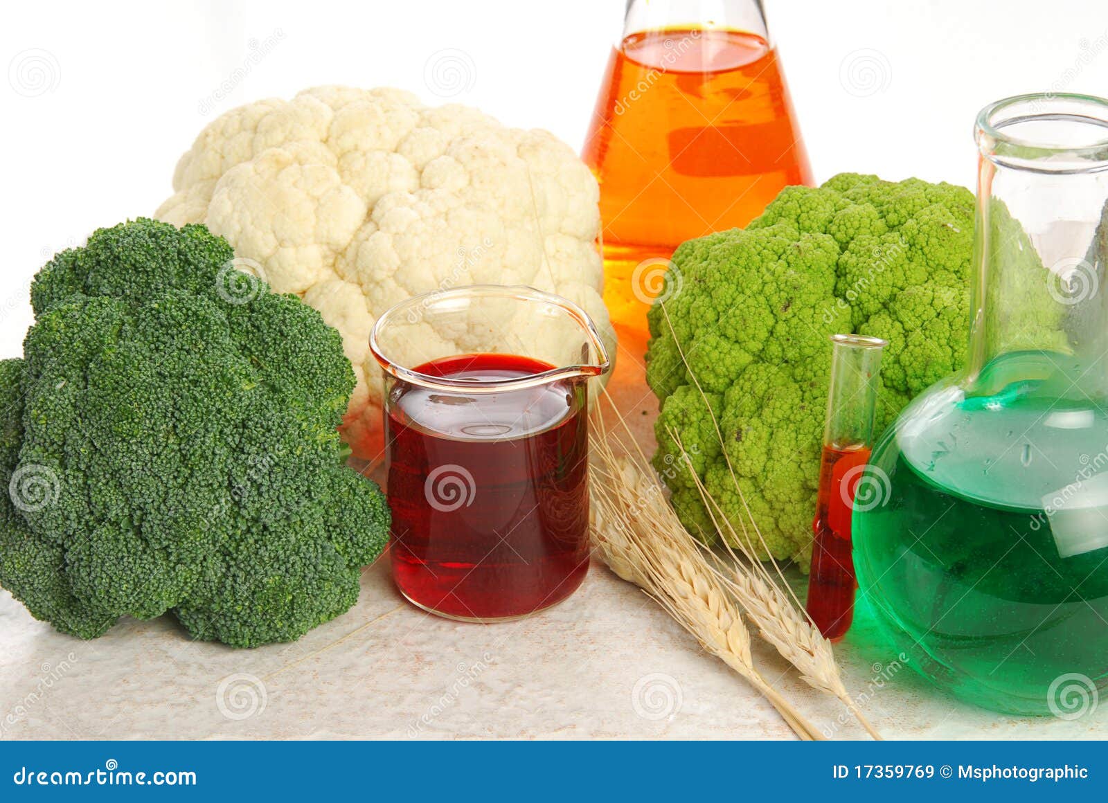 Nourriture d'OGM image stock. Image du rouge, scientifique - 17359769