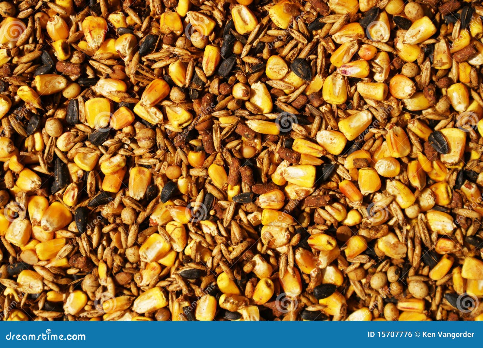 Nourriture De Cerfs Communs De Whitetail Photo stock - Image du graines ...