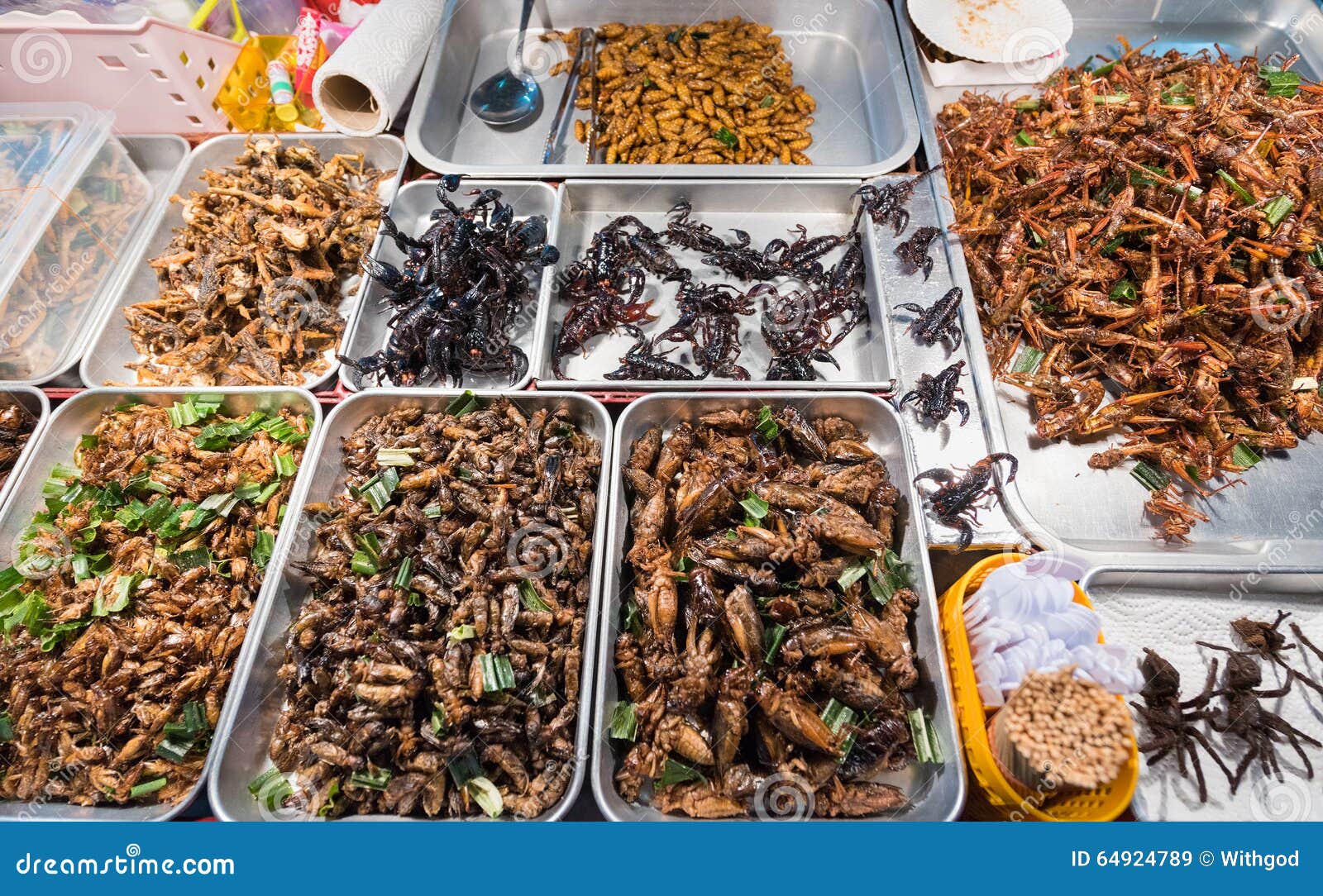 Nourriture Exotique D'insectes Image stock - Image du insecte, mite ...