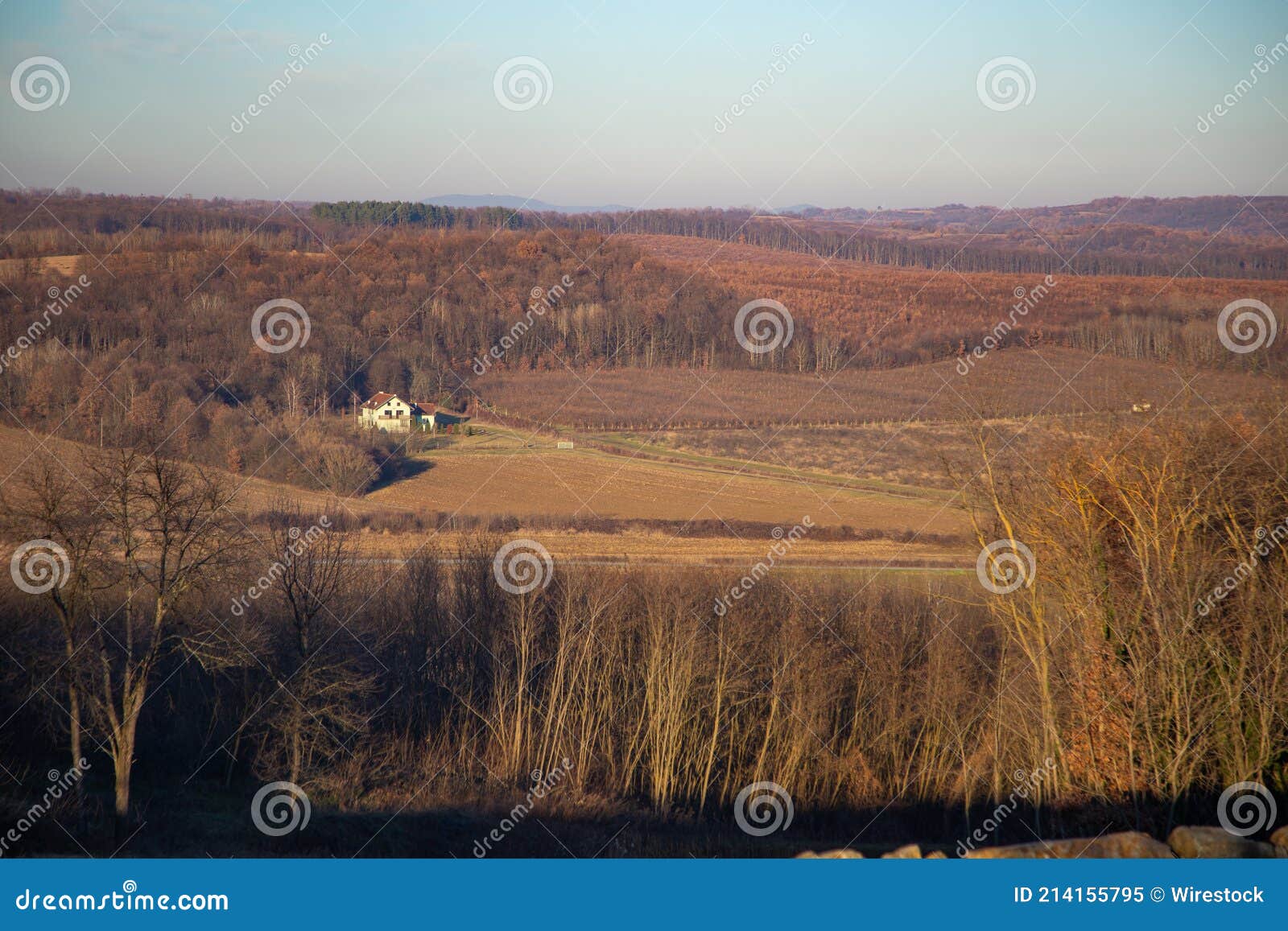 Fields in Cernik, Croatia stock image. Image of field - 214155795