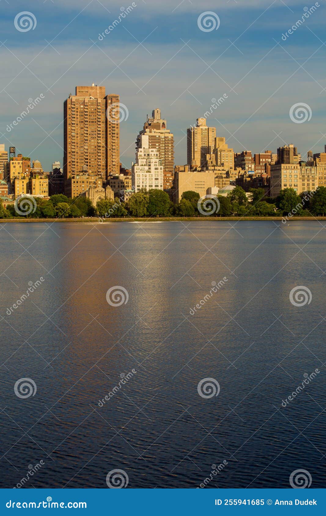 Nova Iorque Do Parque Central. Imagem de Stock - Imagem de casa, parque: 255941685