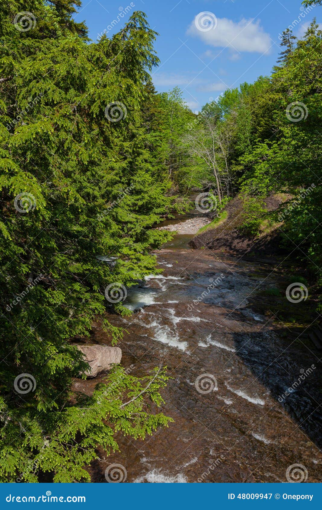 Nova Scotia River stock image. Image of river, flora - 48009947