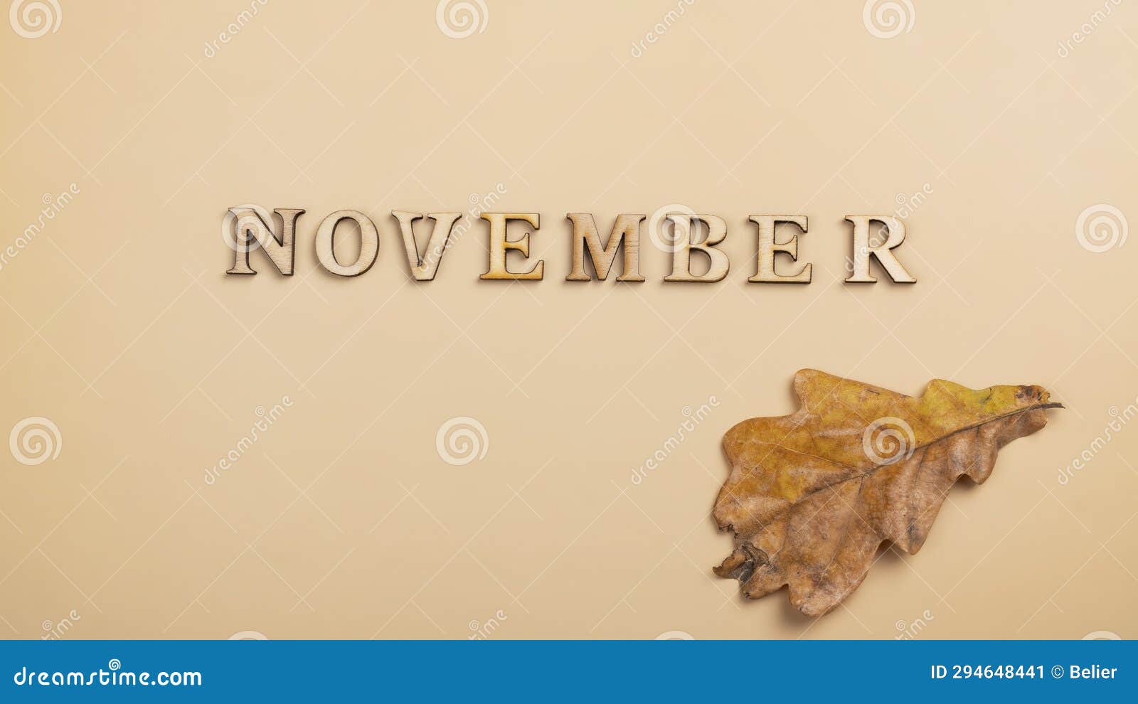November Background with Dry Oak Tree Leaf Stock Image - Image of leaf ...