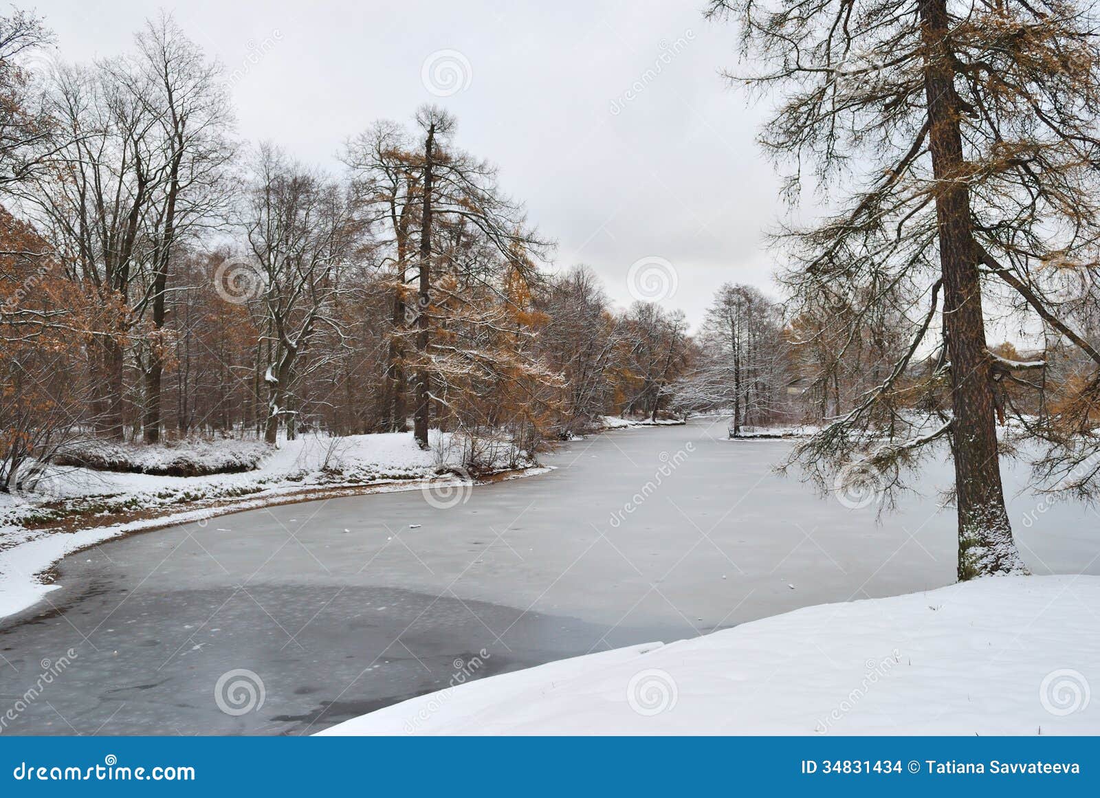 November. First Snow stock photo. Image of park, trees - 34831434