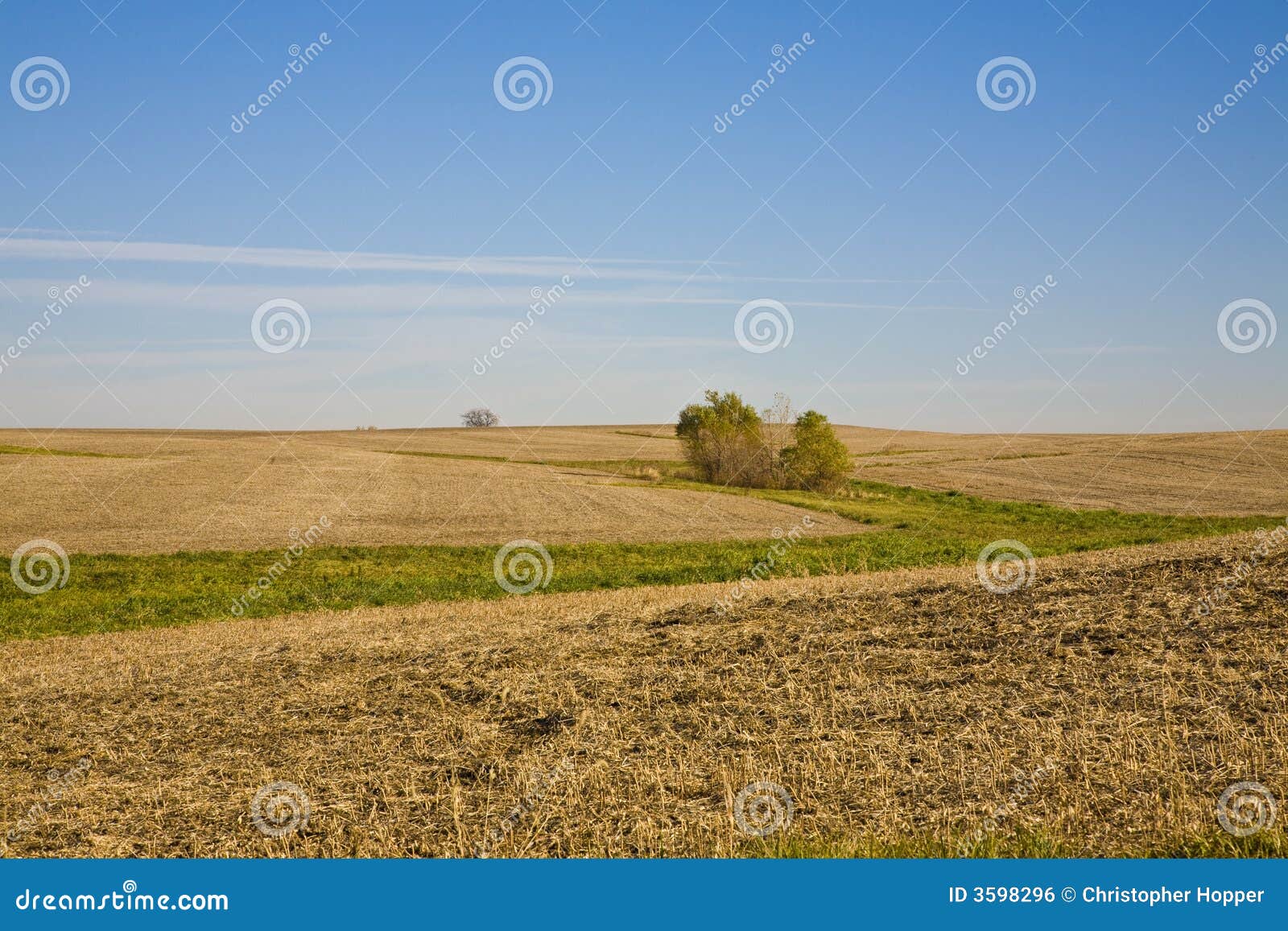 November Illinois Fields stock photo. Image of cleared - 3598296