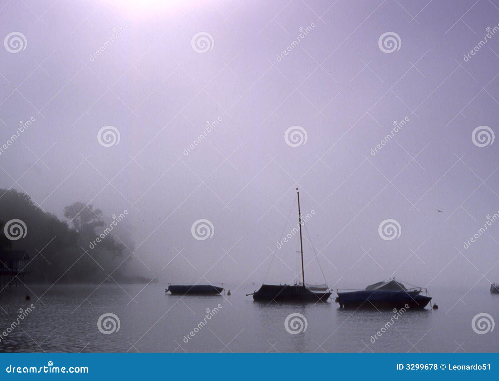 November-lake stock photo. Image of foggy, november, light - 3299678