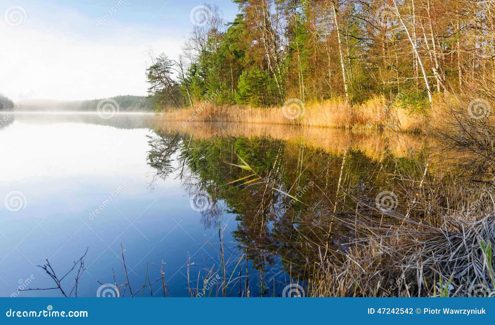 November lake mirror stock photo. Image of southern, relax - 47242542