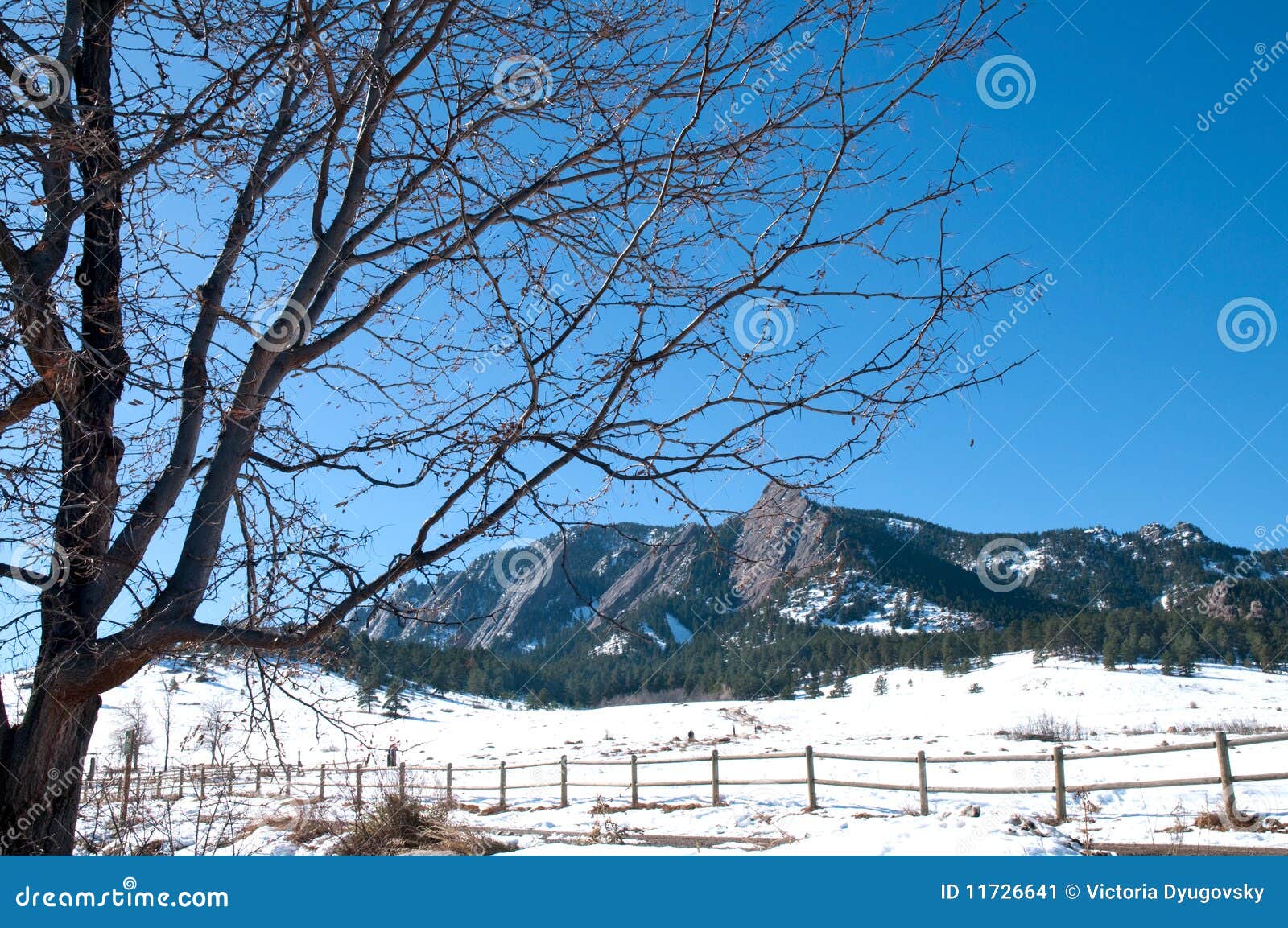 November landscape stock image. Image of tree, sunny - 11726641