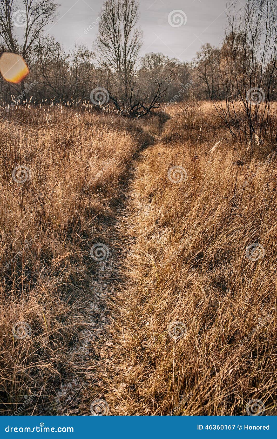 November landscape stock image. Image of season, pale - 46360167