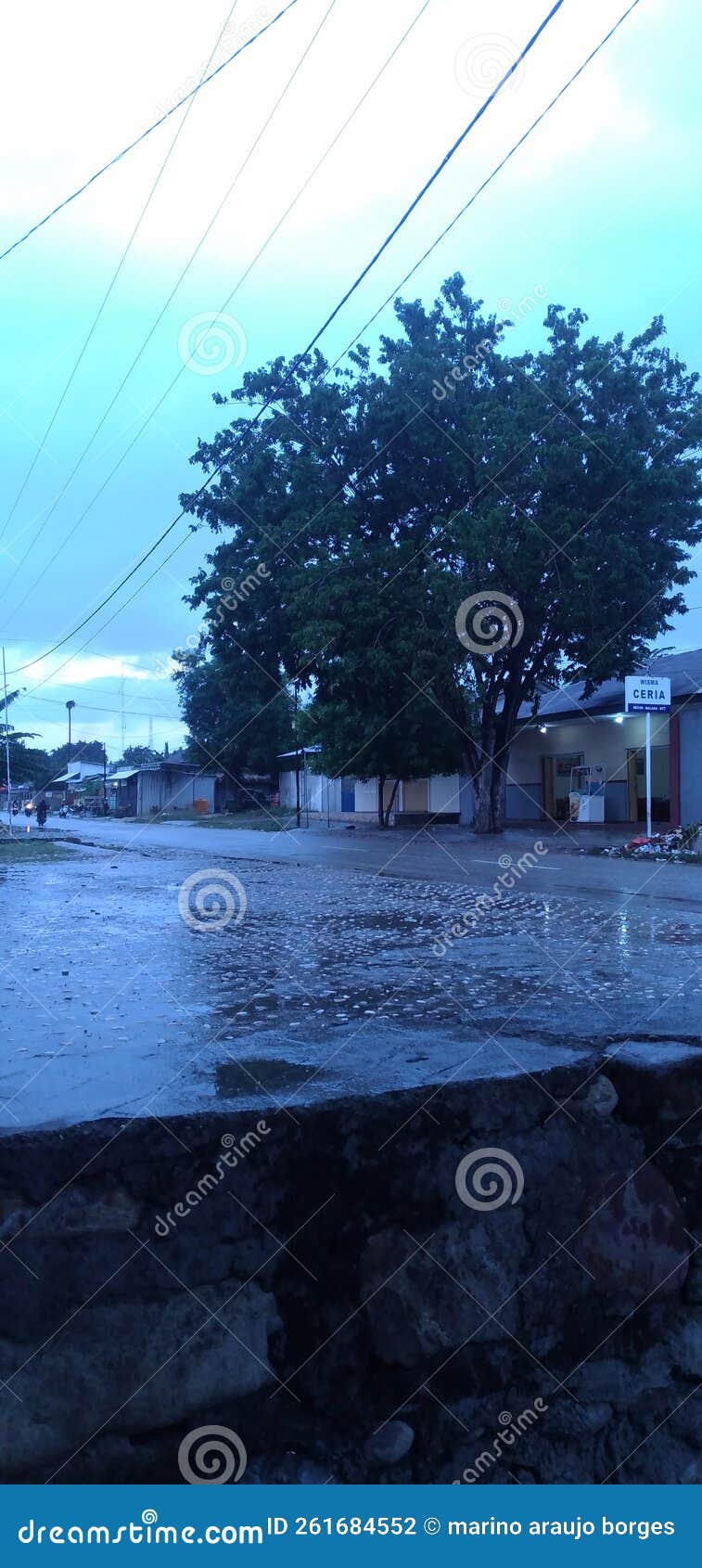 November rain in indonesia stock photo. Image of rain - 261684552