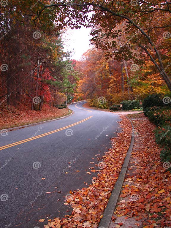 November Road stock image. Image of drive, fallen, seasons - 3709197