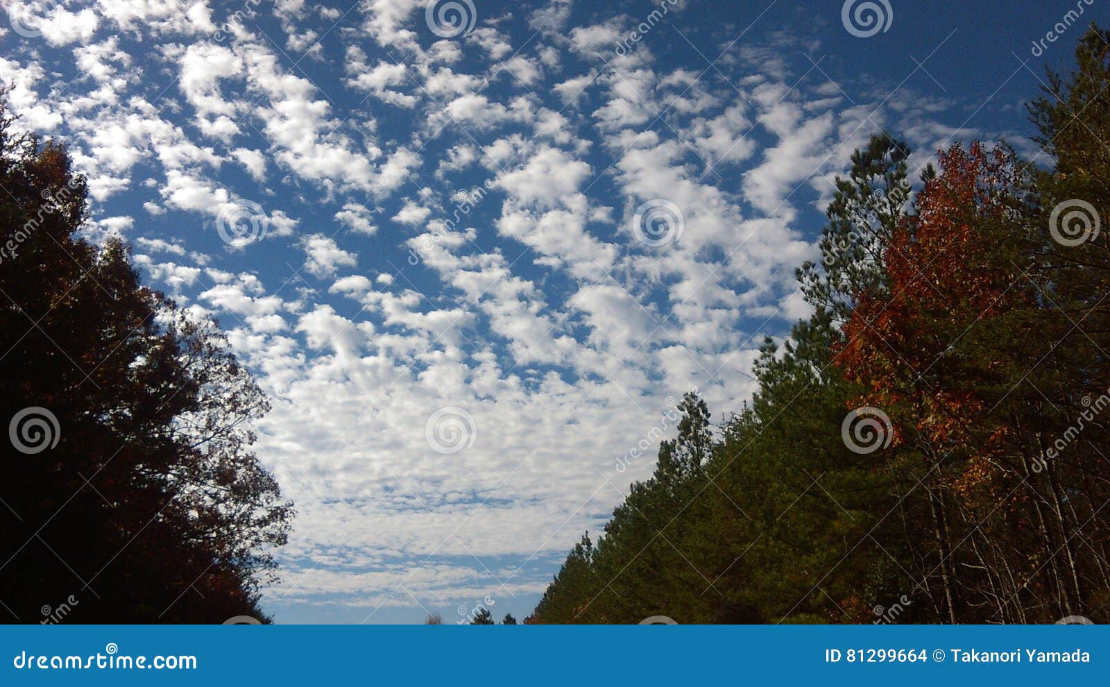 November s Clouds 6 stock photo. Image of nature, life - 81299664