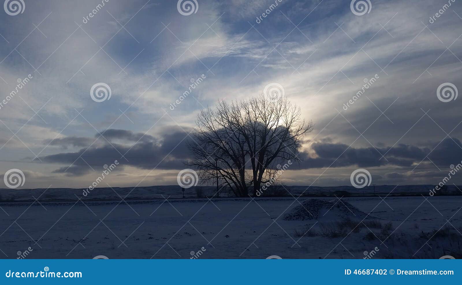November sky stock photo. Image of tree, tall, lone, november - 46687402