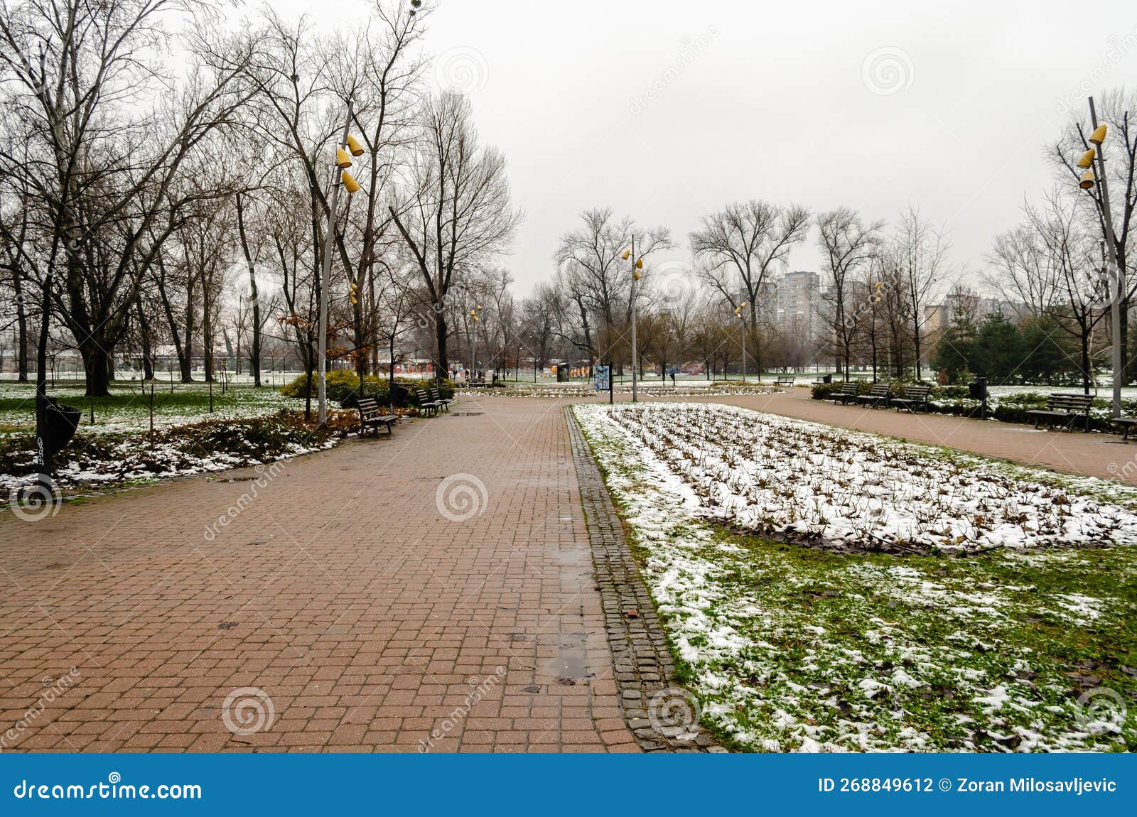 Novi Sad park in winter stock photo. Image of backdrop - 268849612