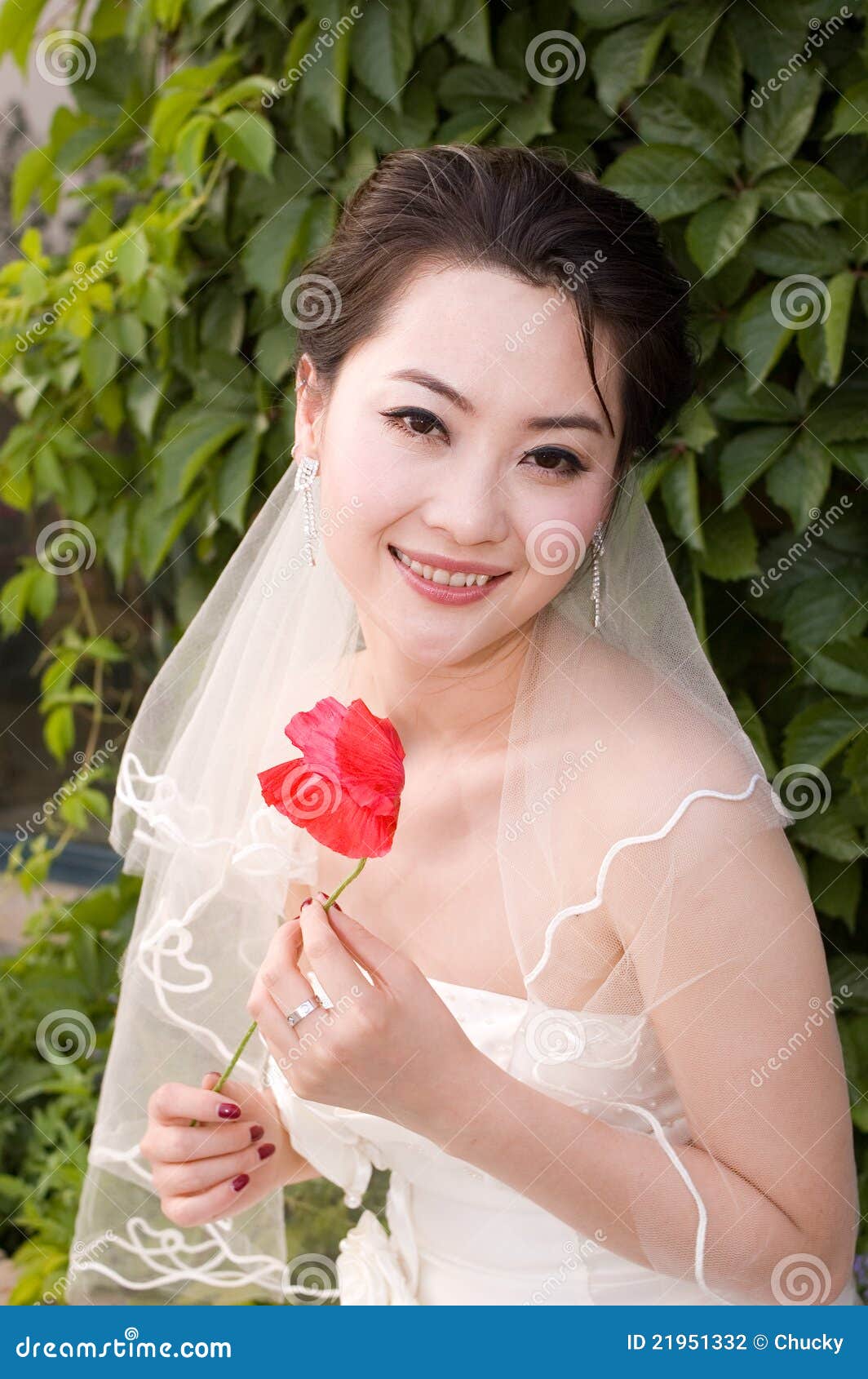 Novia foto de archivo. Imagen de hermoso, boda, chino - 21951332