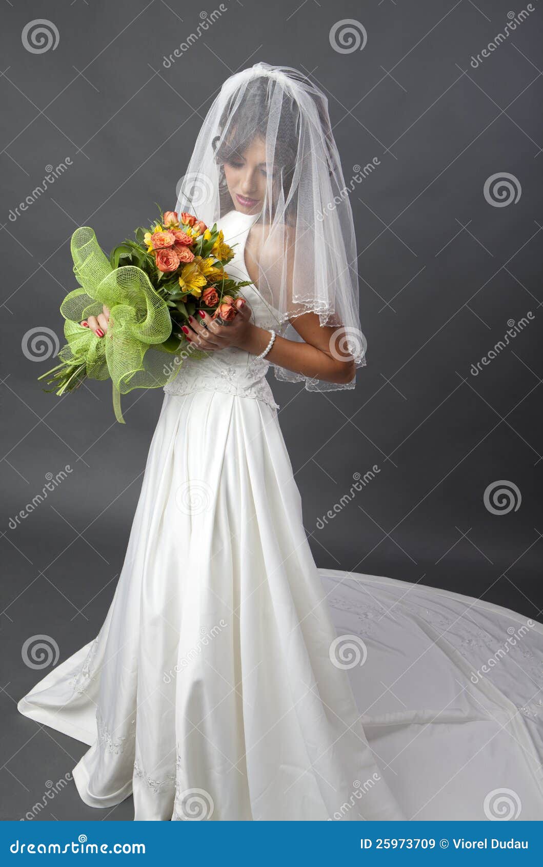 Novia de la boda imagen de archivo. Imagen de matrimonio - 25973709