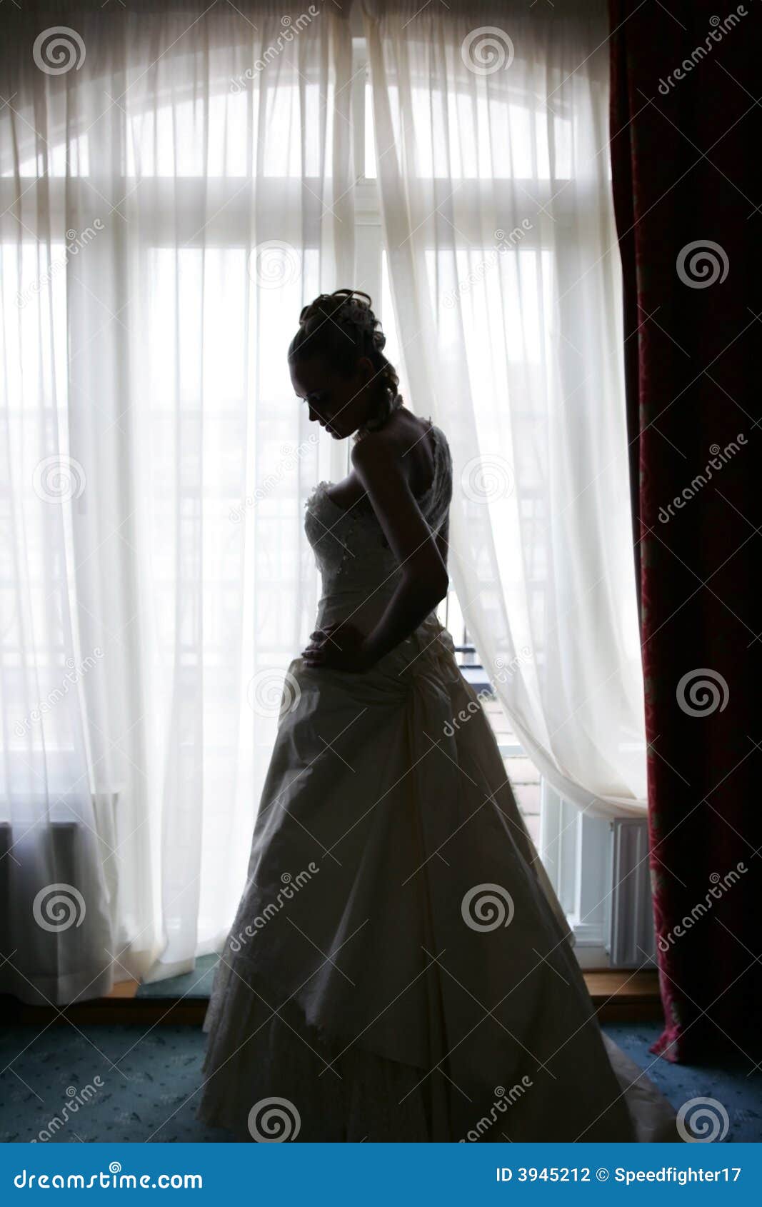 Novia en silueta foto de archivo. Imagen de contento, alineada - 3945212