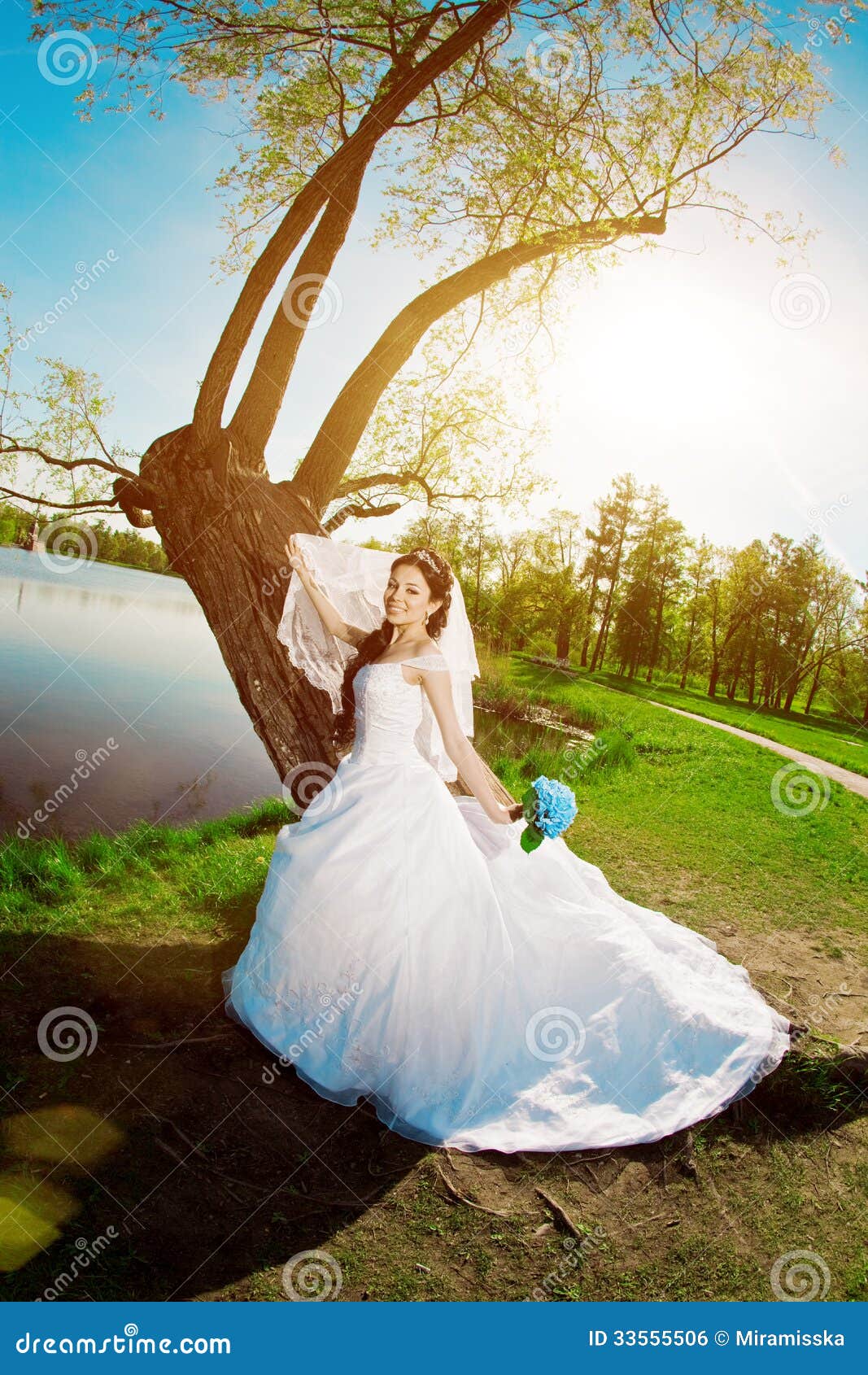 Novia En Un Campo En La Sol Foto de archivo - Imagen de novia, casado ...