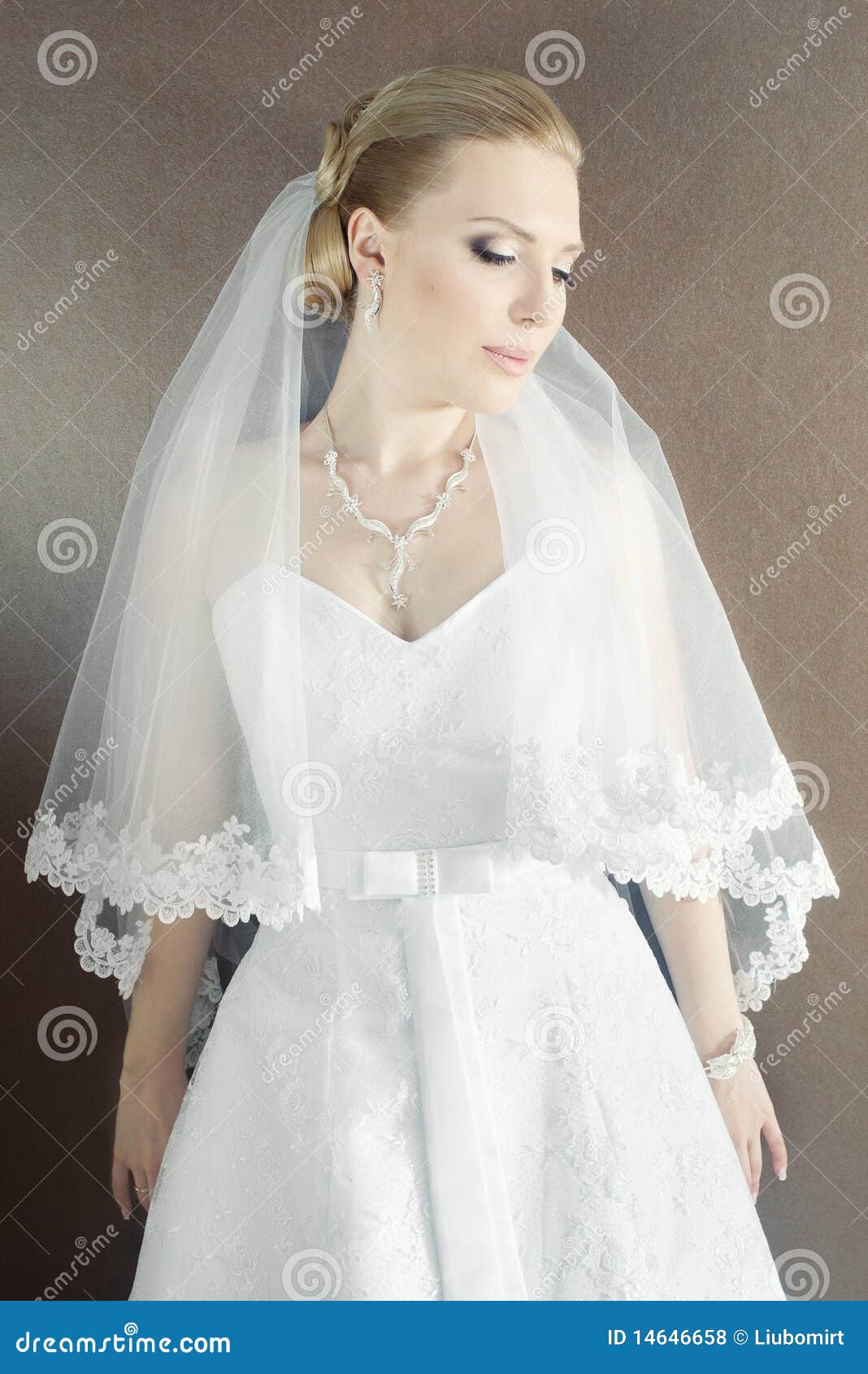 Novia en velo foto de archivo. Imagen de boda, standing - 14646658