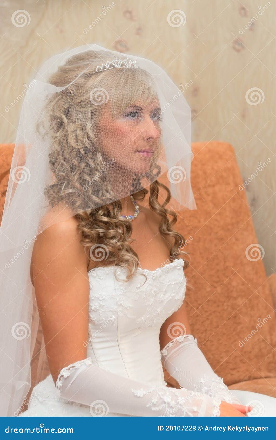 Novia hermosa en velo foto de archivo. Imagen de encanto - 20107228