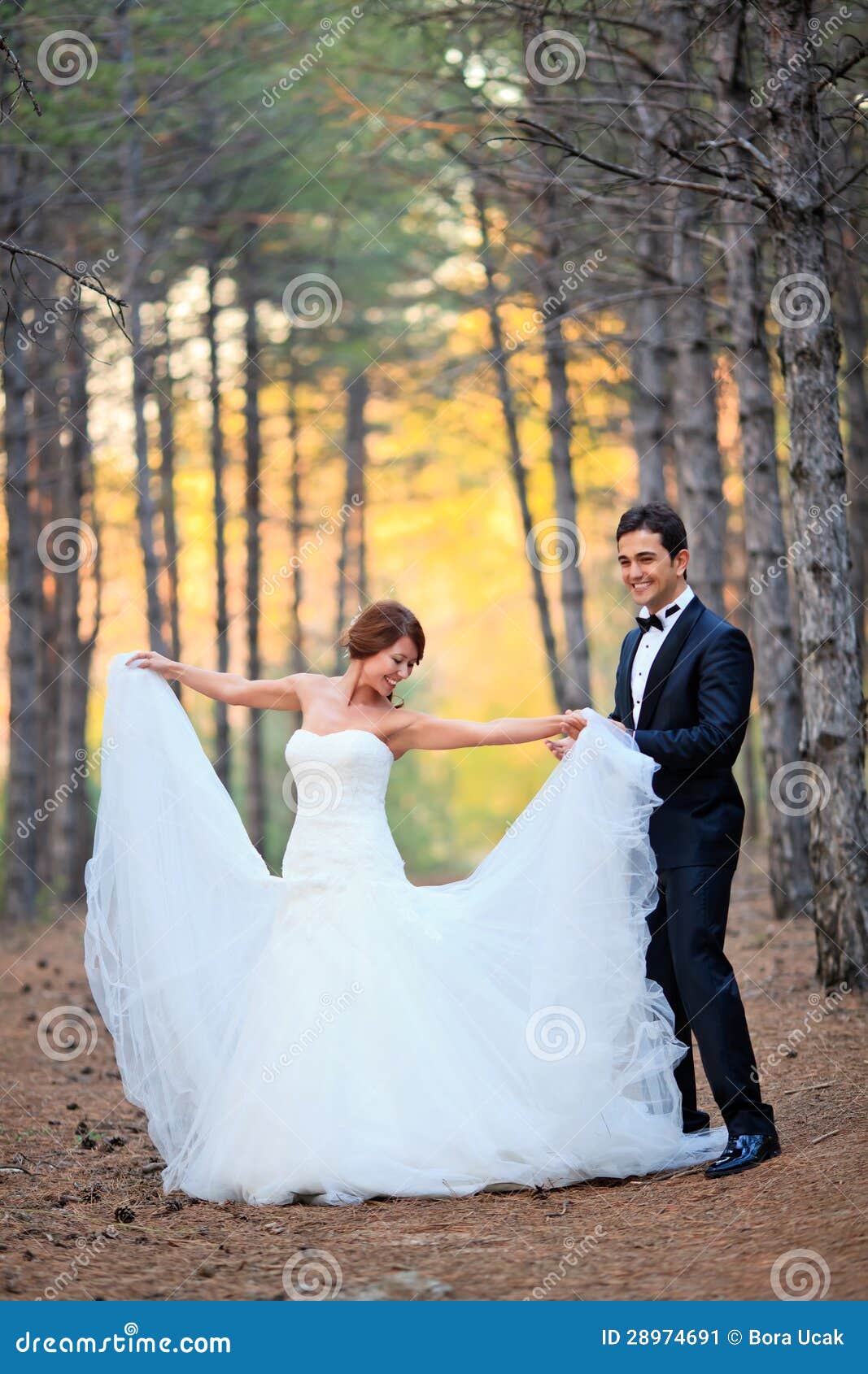 Novia y novio imagen de archivo. Imagen de amor, sonrisa - 28974691