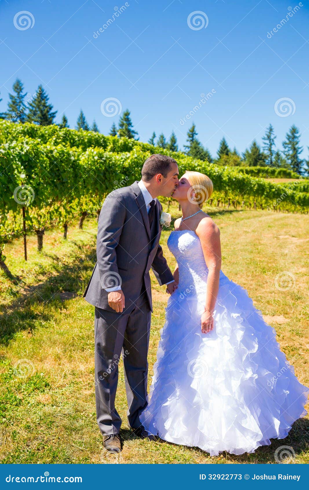 Novia Y Novio Romantic Kiss Imagen de archivo - Imagen de feliz, pares ...