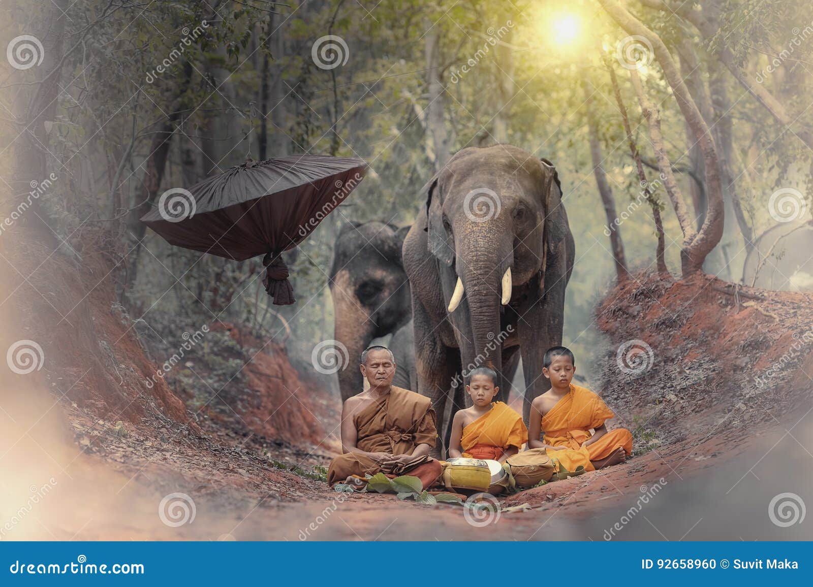 Novice monk stock photo. Image of learning, monk, asian - 92658960