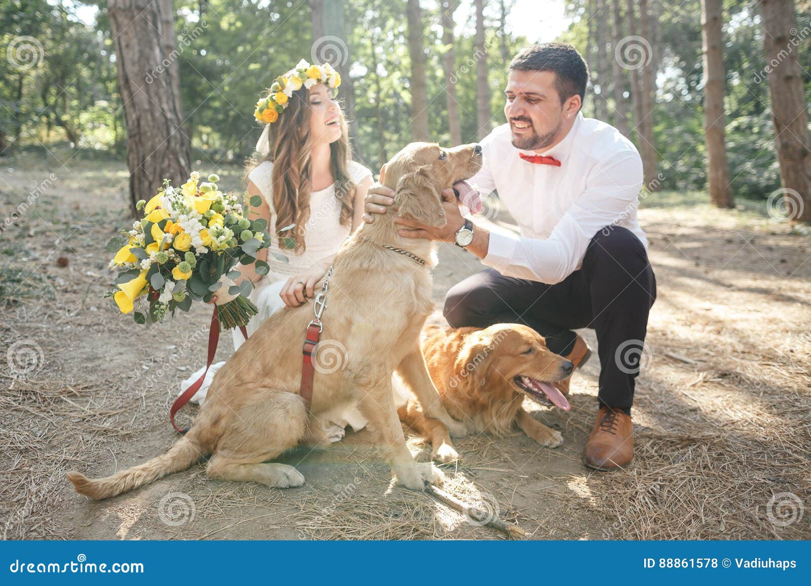 Novio Con La Novia Y El Perro Foto de archivo - Imagen de animal ...