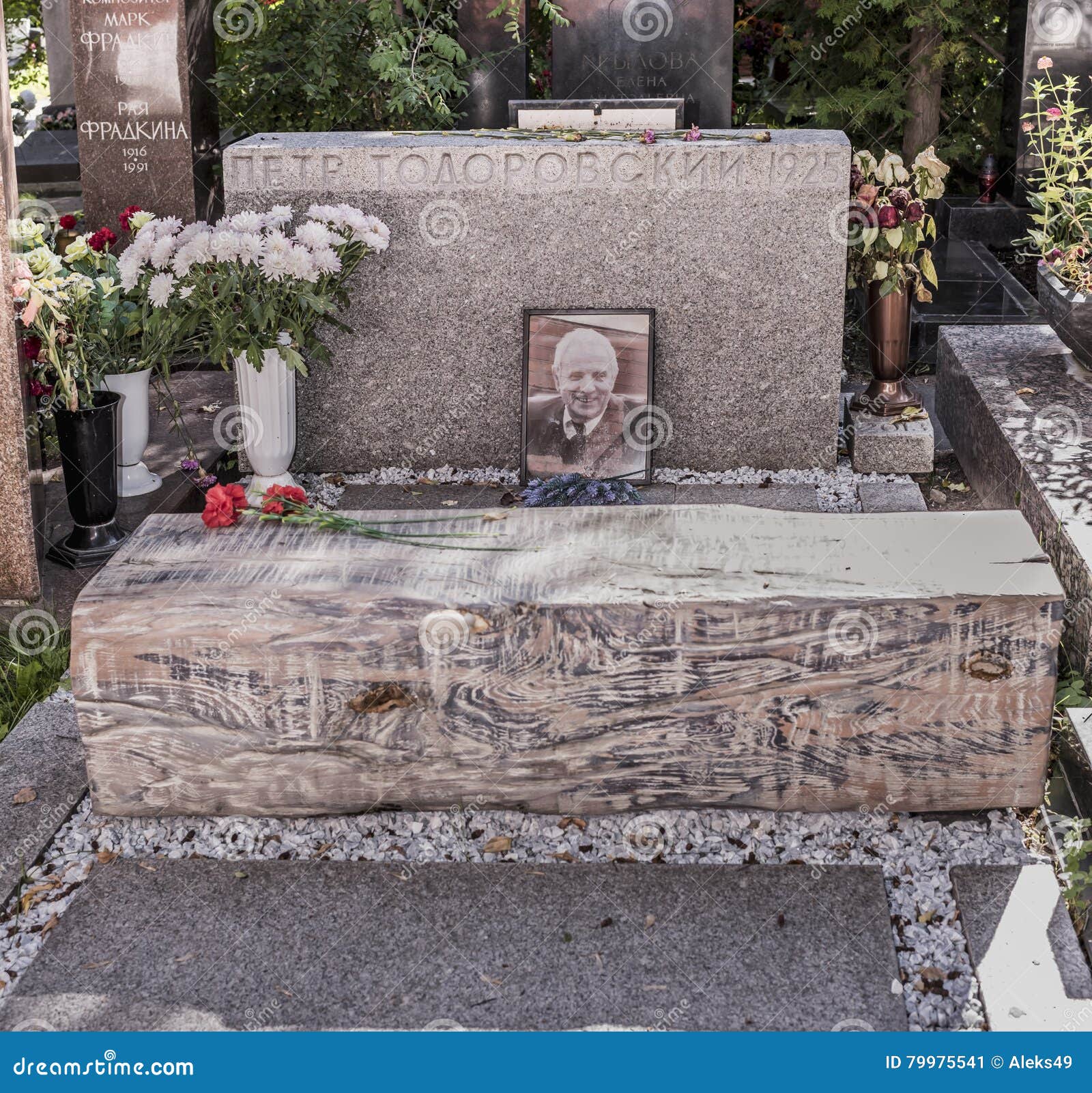 Novodevichy-Kirchhof Ernster Direktor Peter Todorovski Redaktionelles ...