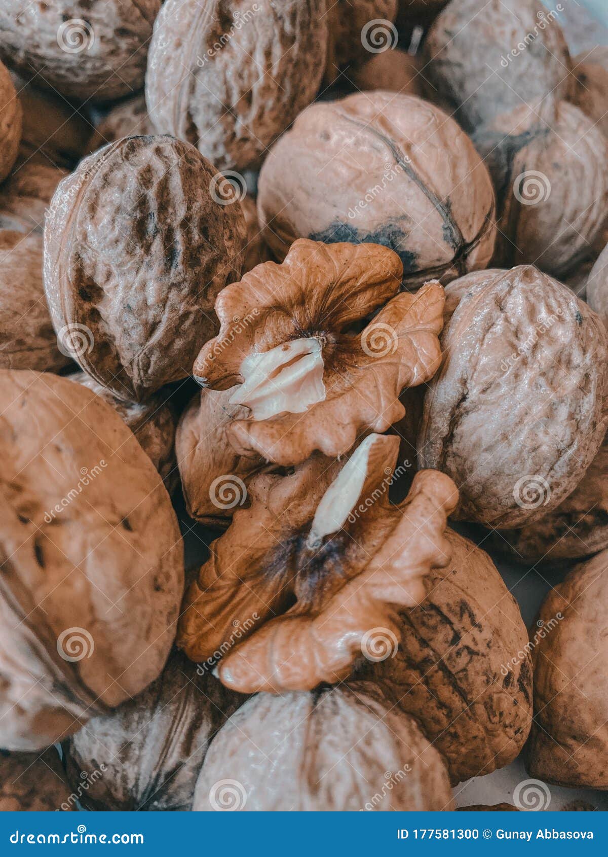 Walnuts with and without Shells. Stock Photo - Image of exporter ...