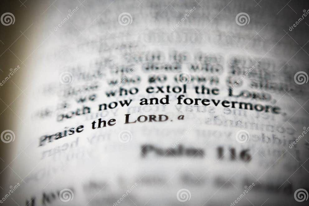 Now and Forever stock photo. Image of word, text, details - 5900404