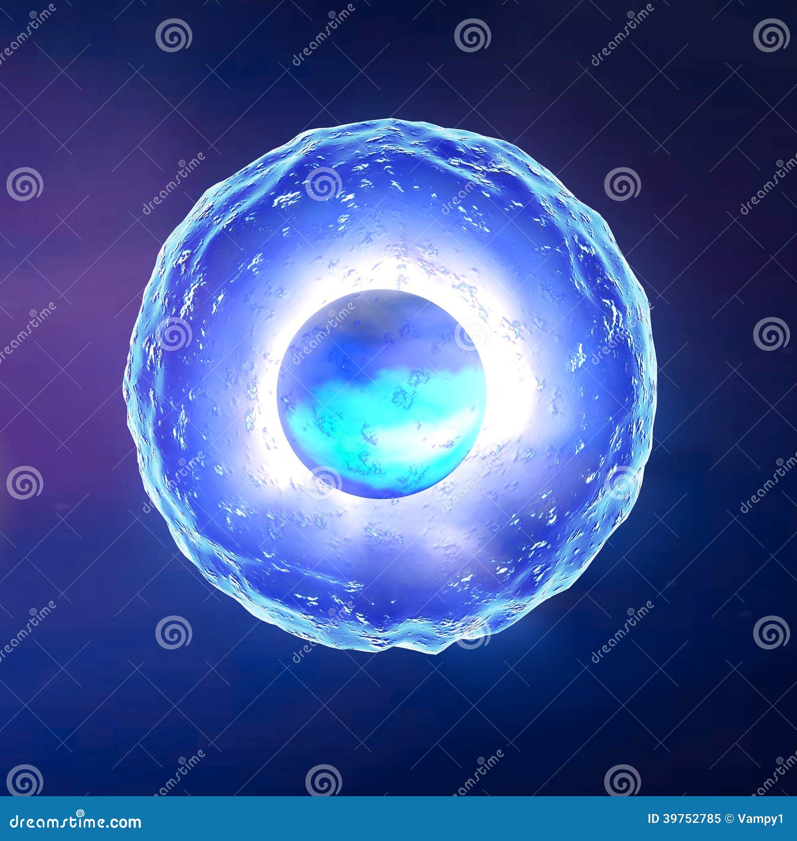 Noyau De Cellules, Ovule, Fertilisation Illustration Stock ...